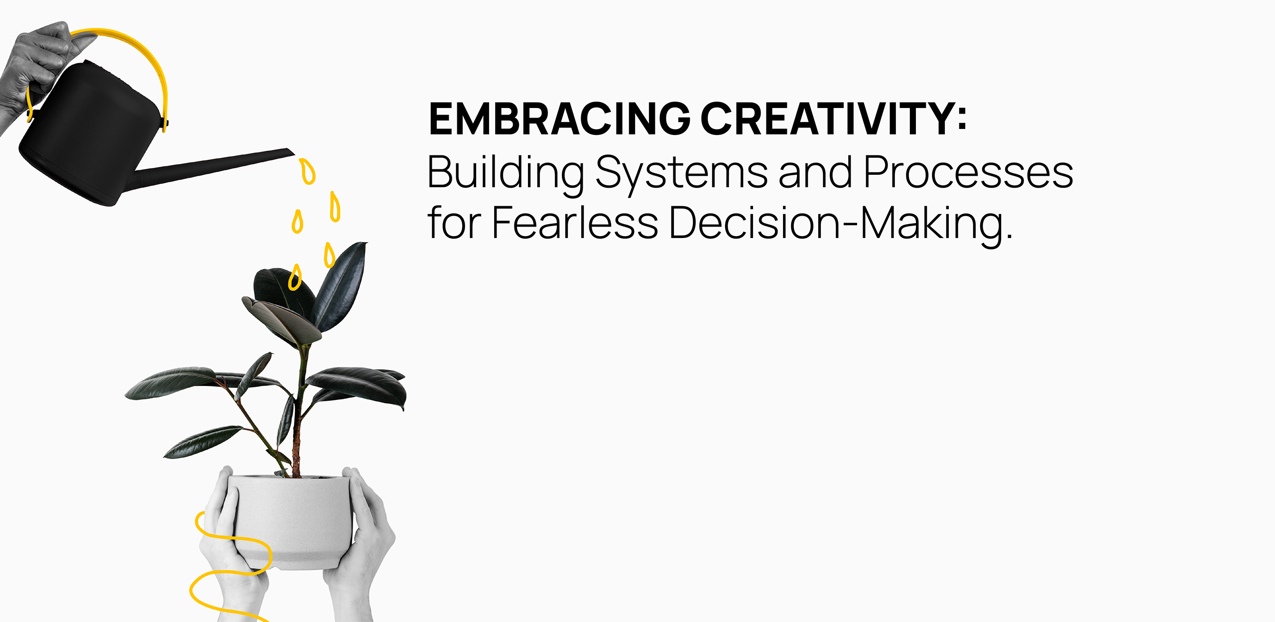 Embracing Creativity: Building Systems and Processes for Fearless ...